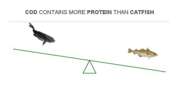 Compare Protein in Catfish to Protein in Cod