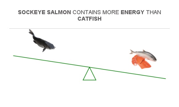 Compare Calories in Catfish to Calories in Sockeye salmon