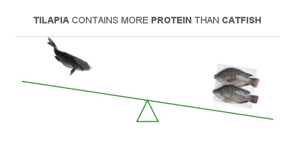 Compare Protein in Catfish to Protein in Tilapia