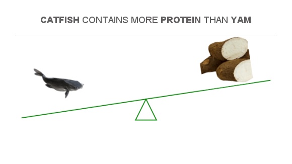 Compare Protein in Catfish to Protein in Yam