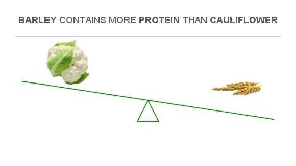 Compare Protein in Cauliflower to Protein in Barley