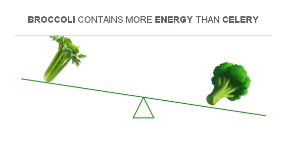 Compare Calories in Celery to Calories in Broccoli