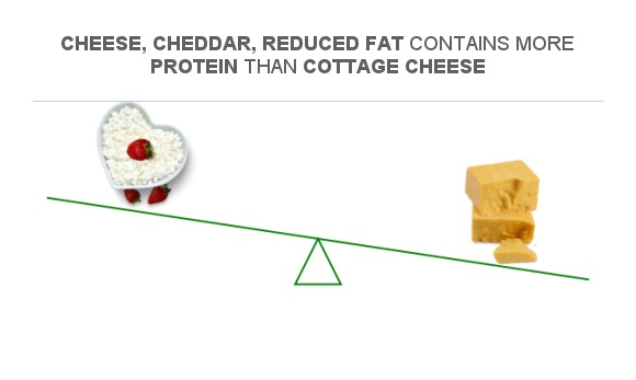 Compare Protein in Cottage cheese to Protein in Cheese, cheddar ...