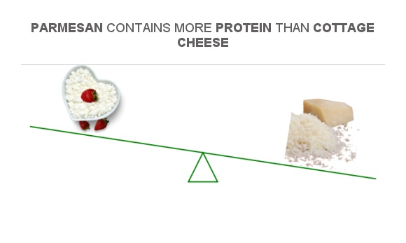 Compare Protein in Cottage cheese to Protein in Parmesan