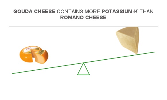 Compare Potassium in Gouda cheese to Potassium in Romano cheese