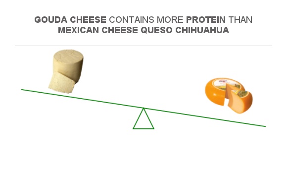 Compare Protein in Mexican Cheese queso chihuahua to Protein in Gouda ...