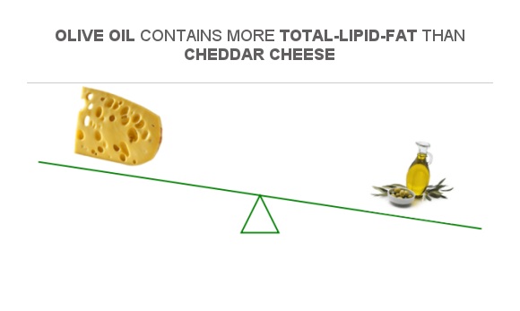 Compare Fats in Cheese to Fats in Olive oil