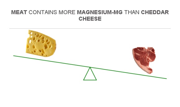 Compare Magnesium in Cheese to Magnesium in Pork Meat