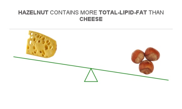Compare Fats in Cheese to Fats in Hazelnut