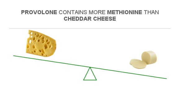 Compare Methionine in Cheese to Methionine in Provolone