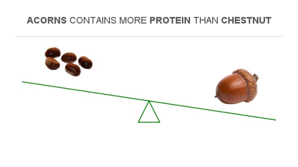 Compare Protein in Chestnut to Protein in Acorns