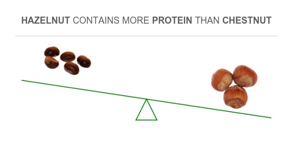 Compare Protein in Chestnut to Protein in Hazelnut
