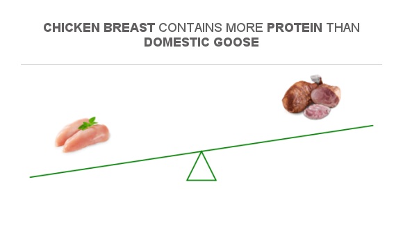 Compare Protein in Chicken breast to Protein in Domestic goose