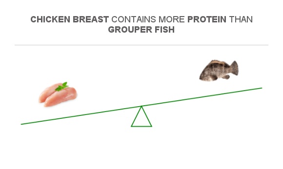 Compare Protein in Chicken breast to Protein in Grouper