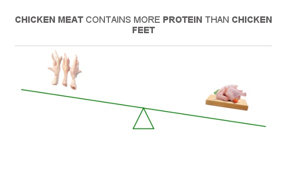 Compare Protein in Chicken feet to Protein in Chicken meat