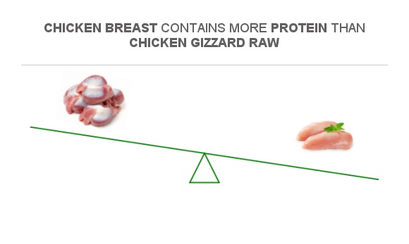 Compare Protein in Chicken gizzard raw to Protein in Chicken breast