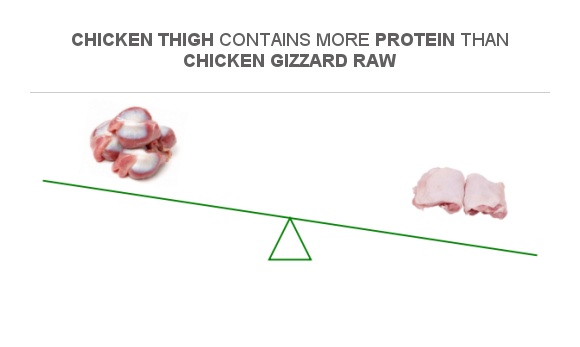 Compare Protein in Chicken gizzard raw to Protein in Chicken thigh