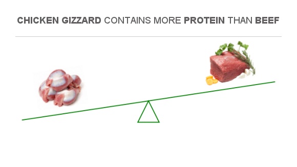 Compare Protein in Chicken gizzard to Protein in Beef