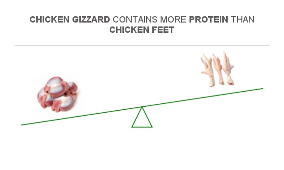 Compare Protein in Chicken gizzard to Protein in Chicken feet