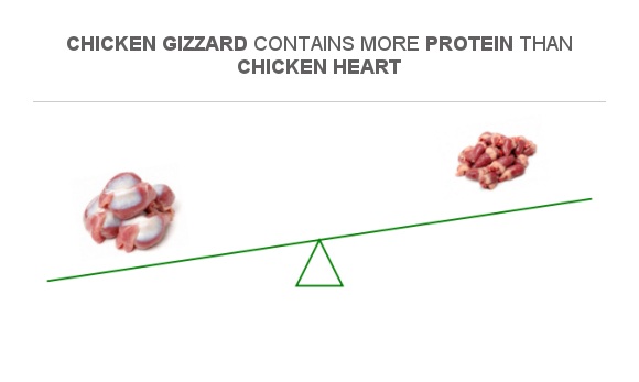 Compare Protein in Chicken gizzard to Protein in Chicken heart