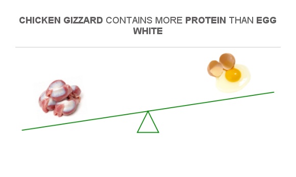 Compare Protein in Chicken gizzard to Protein in Egg white