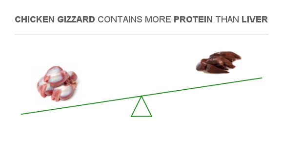 Compare Protein in Chicken gizzard to Protein in Liver