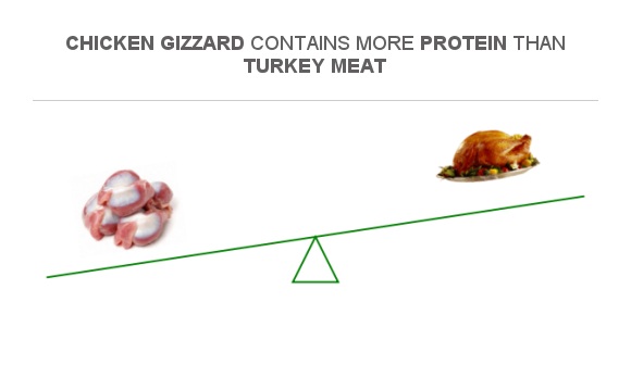 Compare Protein in Chicken gizzard to Protein in Turkey meat
