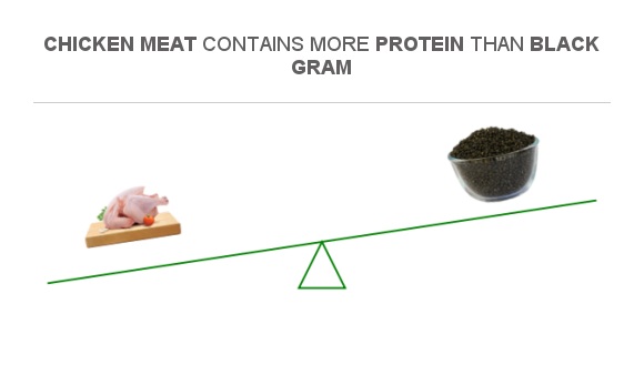 Compare Protein in Chicken meat to Protein in Black gram