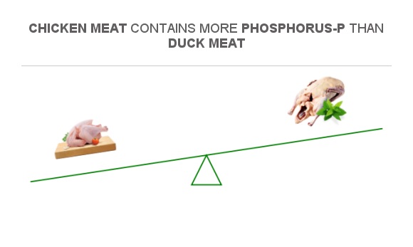 Compare Phosphorus in Chicken meat to Phosphorus in Duck meat