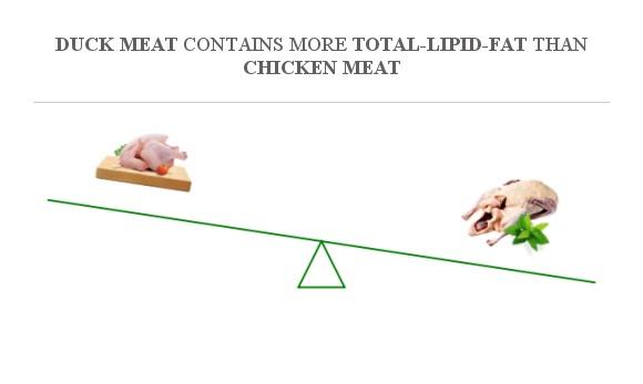 Compare Fats in Chicken meat to Fats in Duck meat