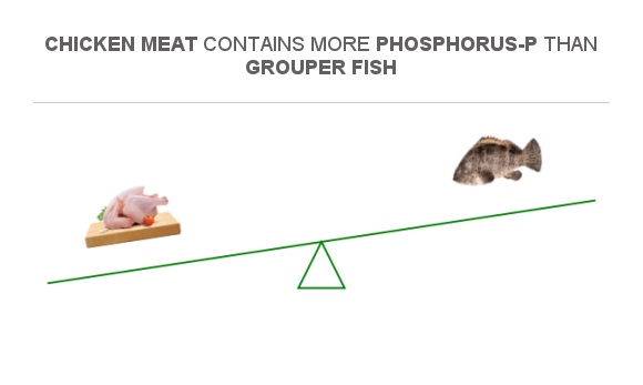Compare Phosphorus in Chicken meat to Phosphorus in Grouper fish