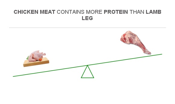 Compare Protein in Chicken meat to Protein in Lamb leg
