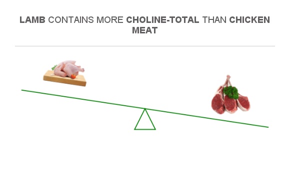 Compare Choline in Chicken meat to Choline in Lamb