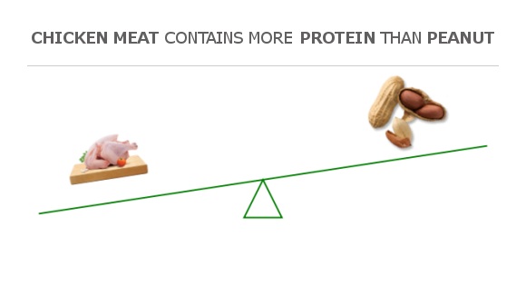 Compare Protein in Chicken meat to Protein in Peanut