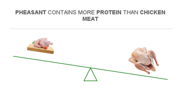 Compare Protein in Chicken meat to Protein in Pheasant