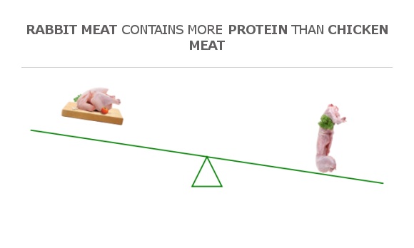 Compare Protein in Chicken meat to Protein in Rabbit Meat