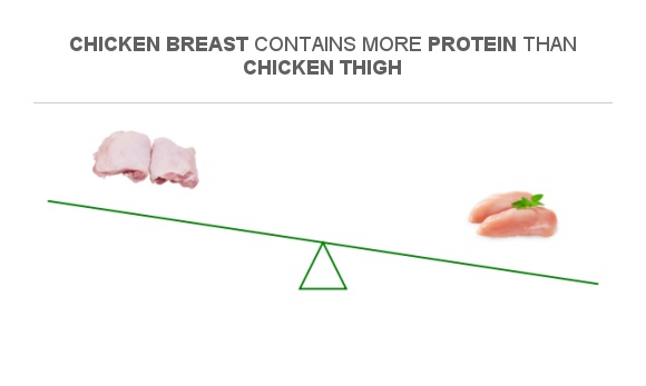 Compare Protein in Chicken thigh to Protein in Chicken breast