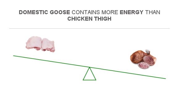 Compare Calories in Chicken thigh to Calories in Domestic goose