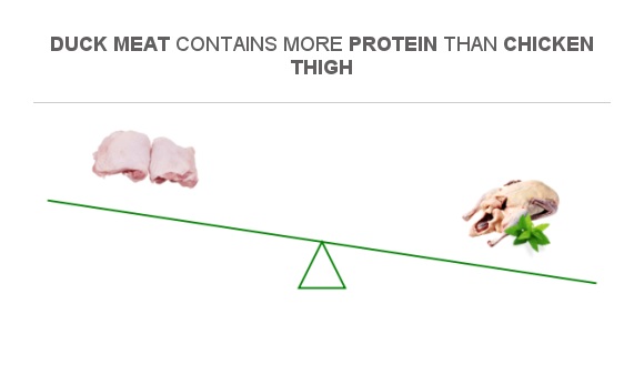 Compare Protein in Chicken thigh to Protein in Duck meat
