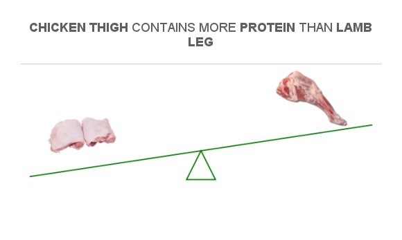 Compare Protein in Chicken thigh to Protein in Lamb leg