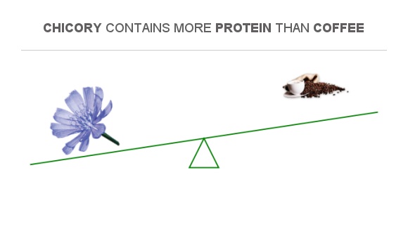 Compare Protein in Chicory to Protein in Coffee