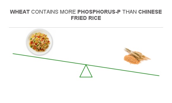 Compare Phosphorus in Chinese fried rice to Phosphorus in Wheat