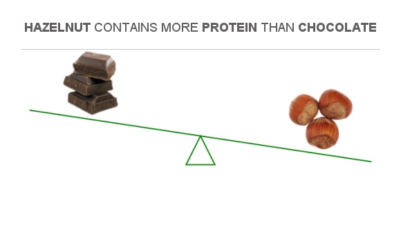 Compare Protein in Chocolate to Protein in Hazelnut