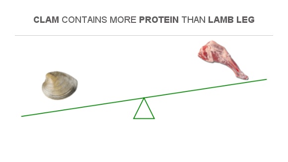 Compare Protein in Clam to Protein in Lamb leg