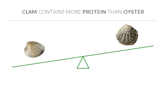 Compare Protein in Clam to Protein in Oysters