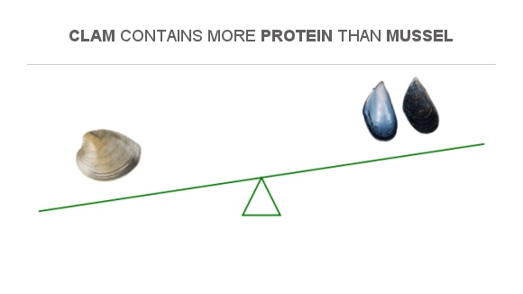 Compare Protein in Clam to Protein in Mussels