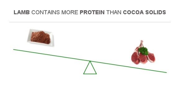 Compare Protein in Cocoa solids to Protein in Lamb
