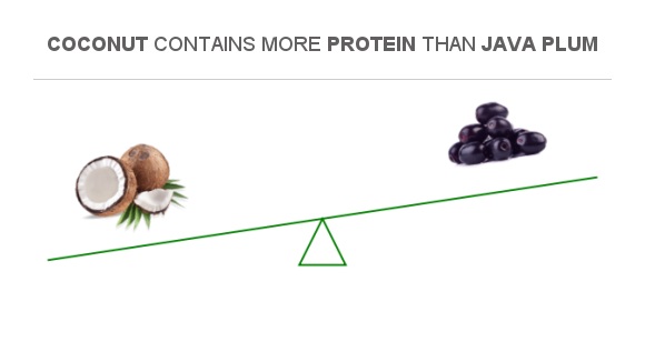 Compare Protein in Coconut to Protein in Java plum