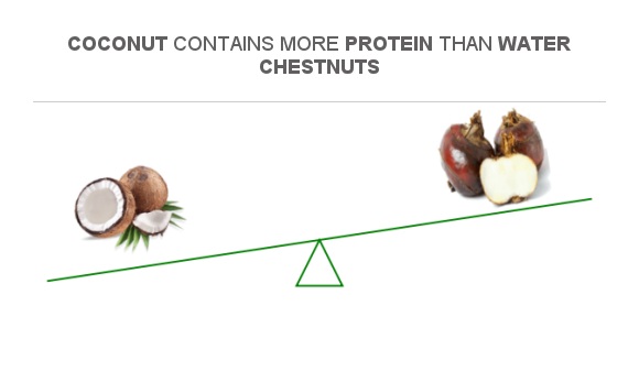 Compare Protein in Coconut to Protein in Water chestnuts