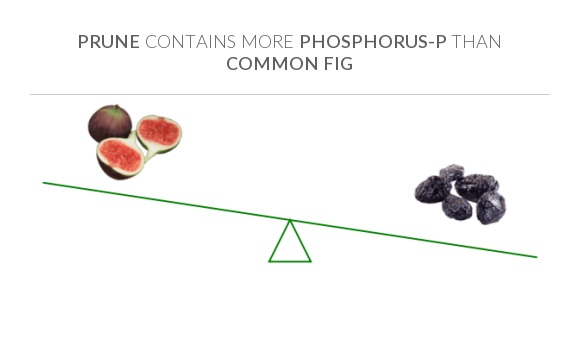 Compare Phosphorus in Figs to Phosphorus in Prunes